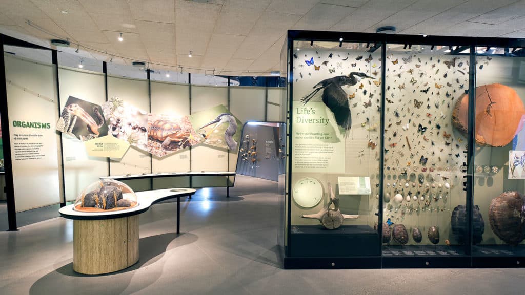 Natural History Museum of Utah - kubik maltbie Natural History Museum of Utah - kubik maltbie