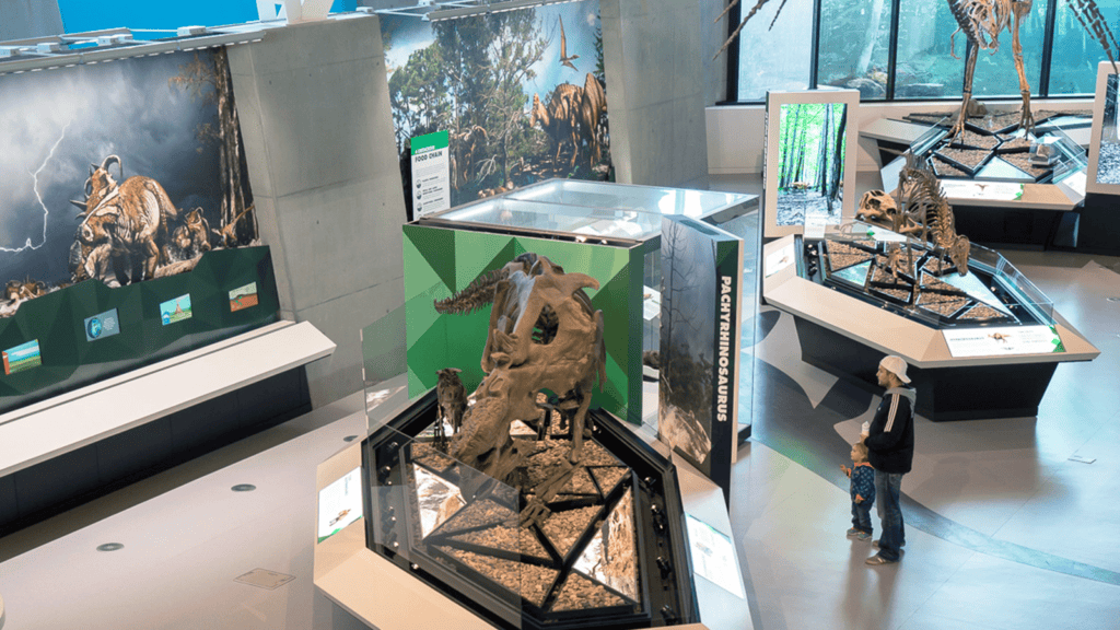 Philip J. Currie Dinosaur Museum - kubik maltbie