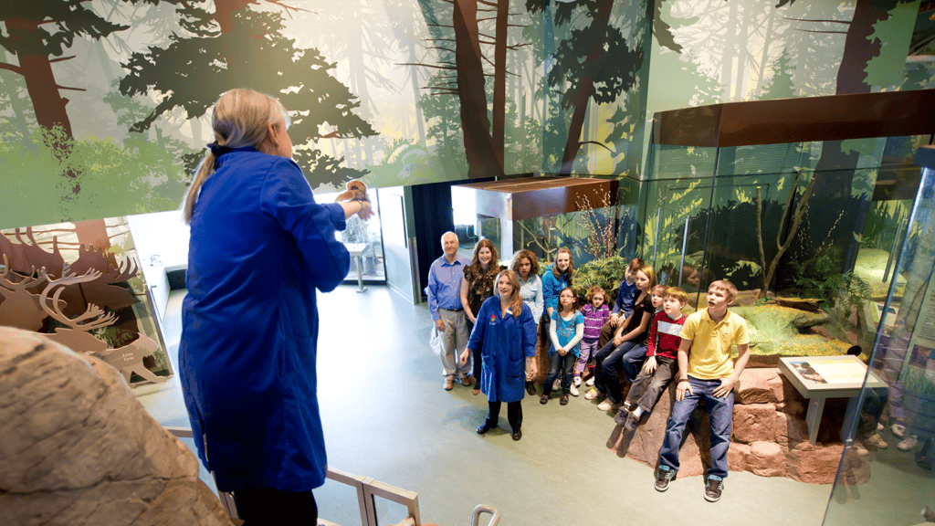 Northern Ecosystems ExhibitScience North - kubik maltbie