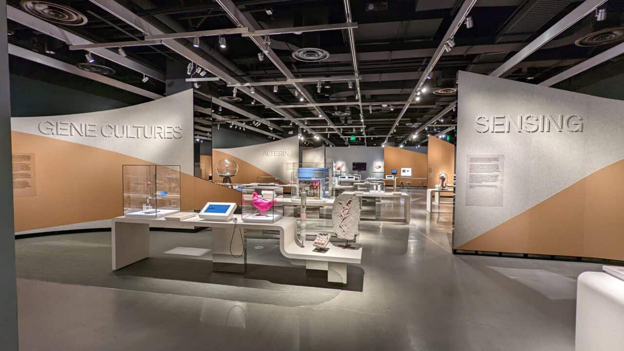 MIT Museum - kubik maltbie